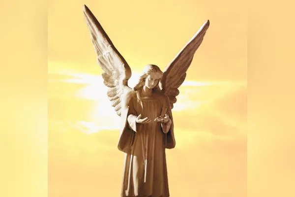 Los Ángeles de Dios | Marianos de la Inmaculada Concepción